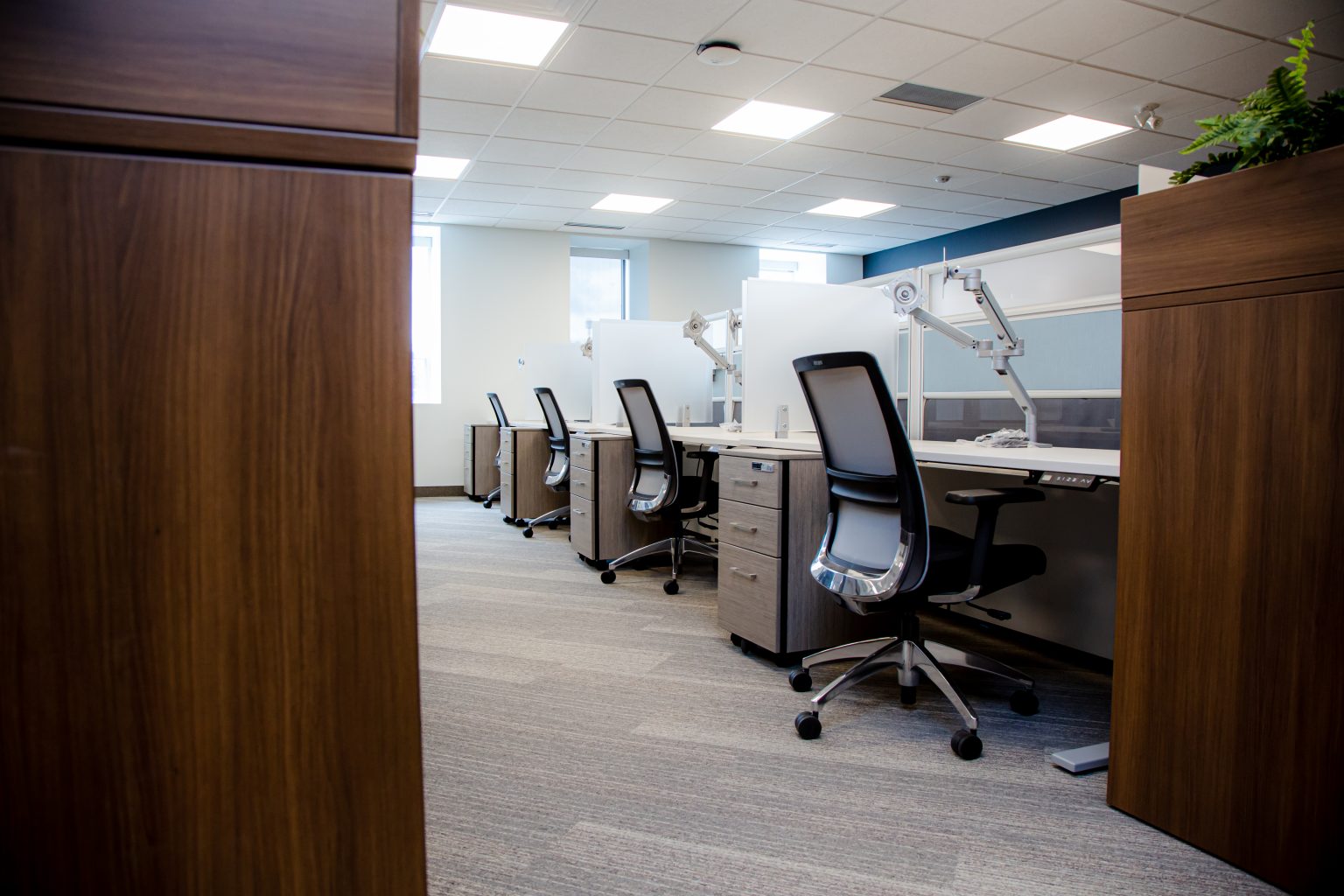 First Ontario Credit Union | WDI Group